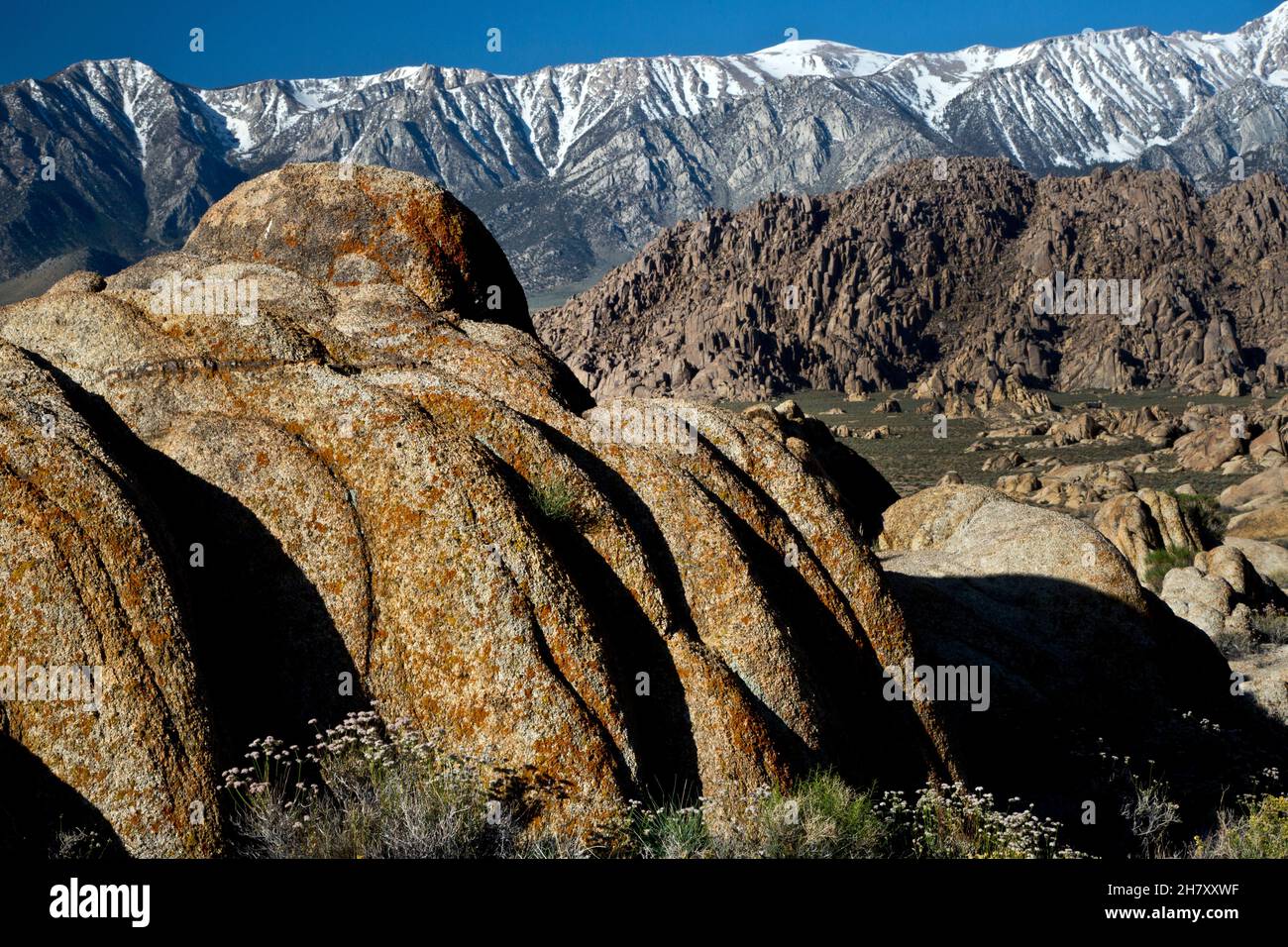 Alabama Hills and the SIerras Stock Photo - Alamy
