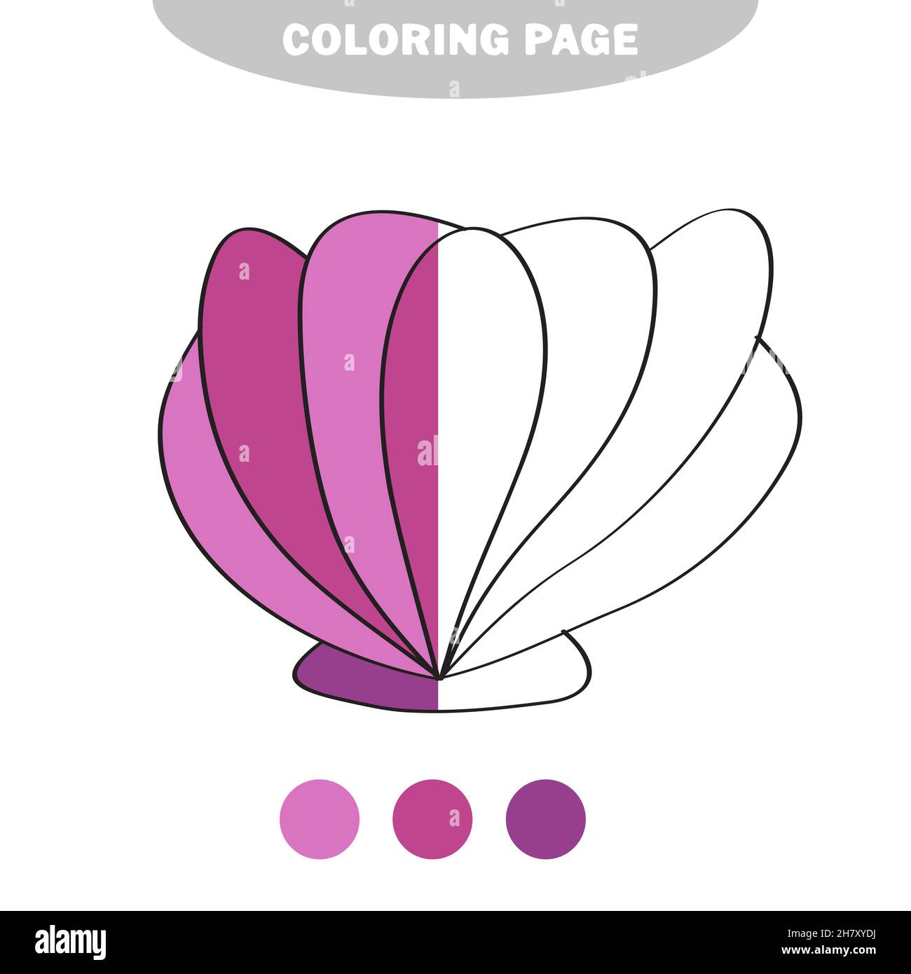 Simple coloring page. Line drawn seashell on white isolated background ...