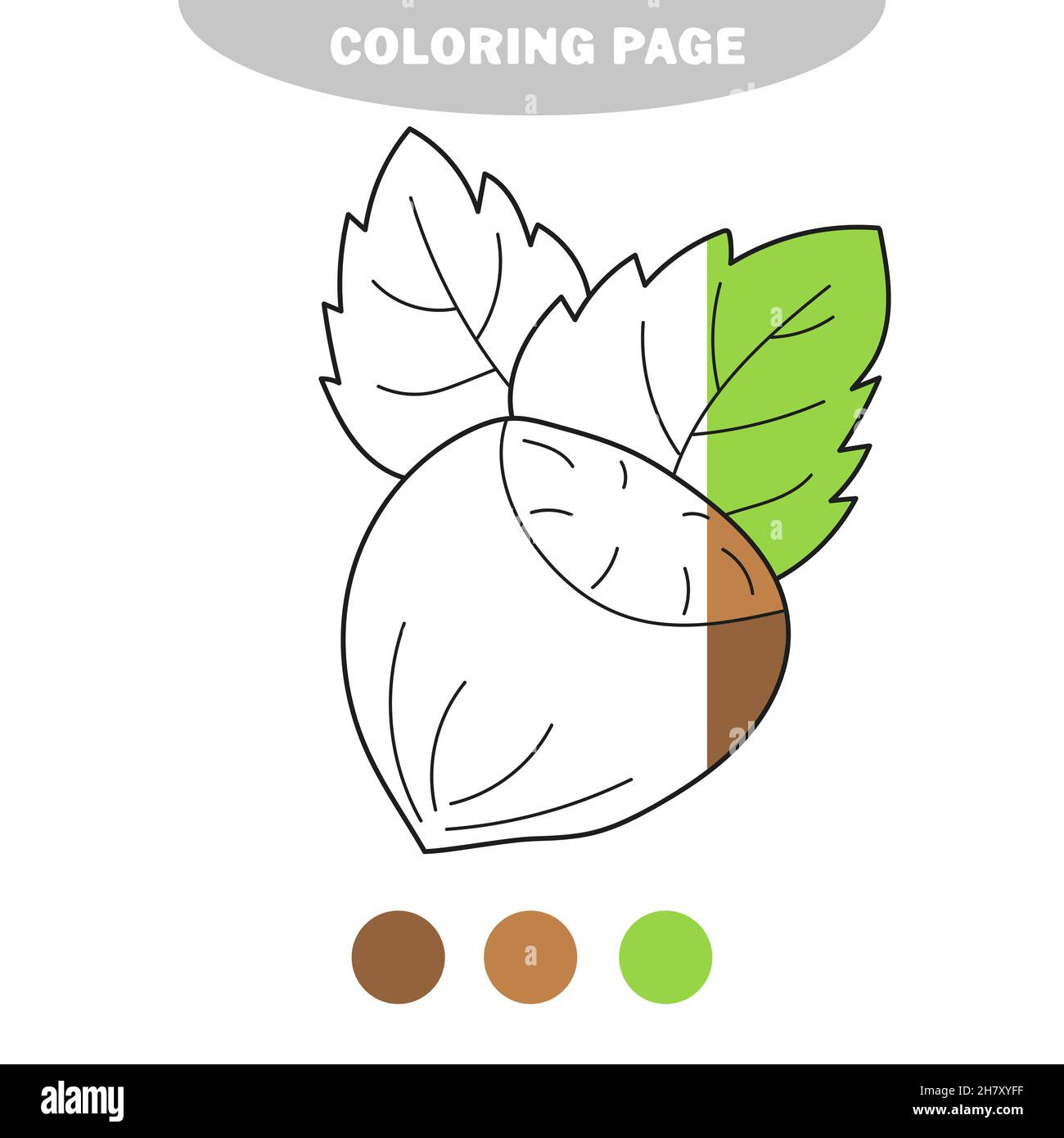 Simple coloring page. Hazelnut to be colored, the coloring book. Easy ...