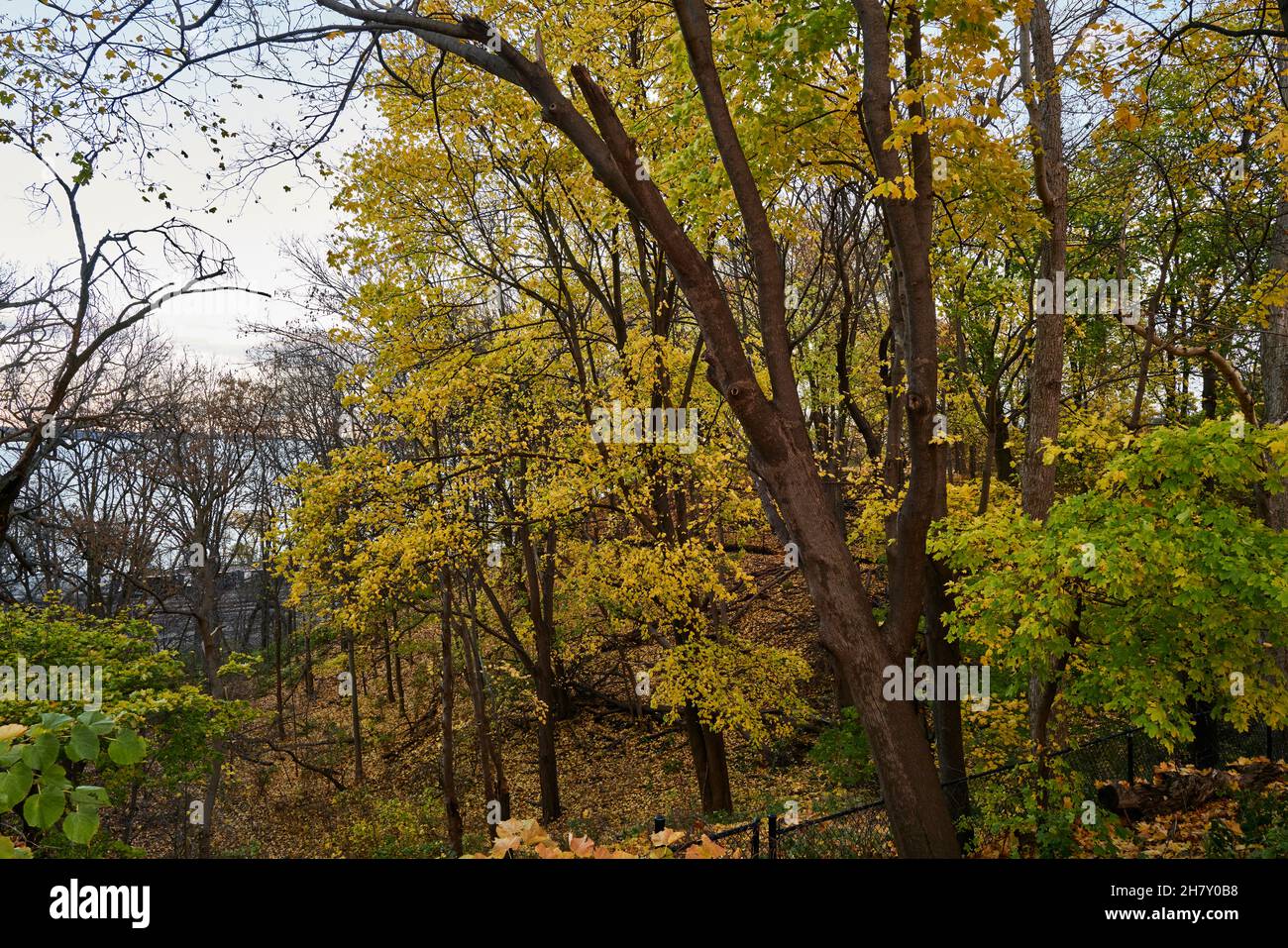 Dundurn Castle. Once home to Sir Allan Napier MacNab, railway magnate ...