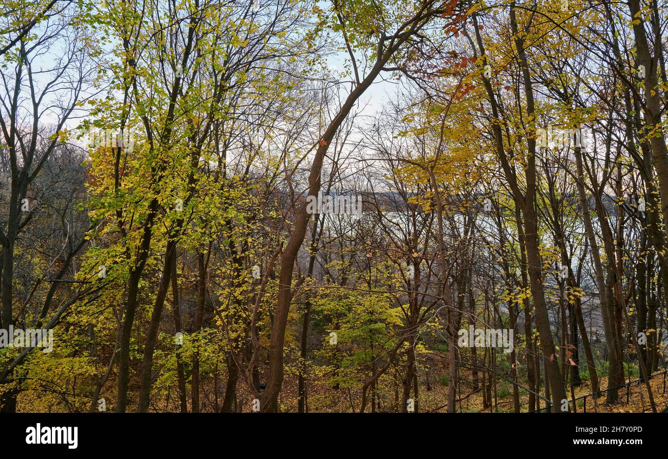 Dundurn Castle. Once home to Sir Allan Napier MacNab, railway magnate ...