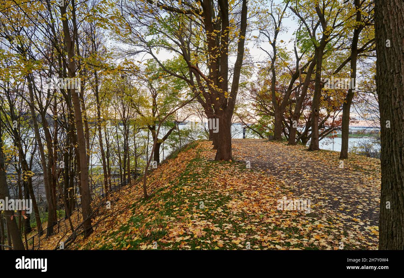 Hamilton family estate hi-res stock photography and images - Alamy