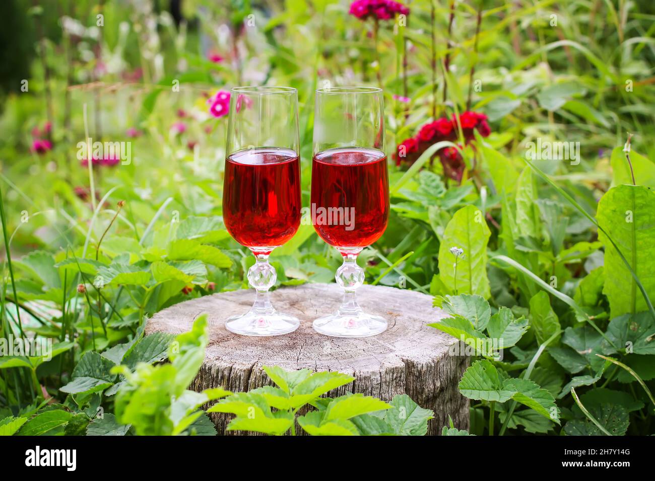 Glasses sweet homemade cherry hi-res stock photography and images - Alamy