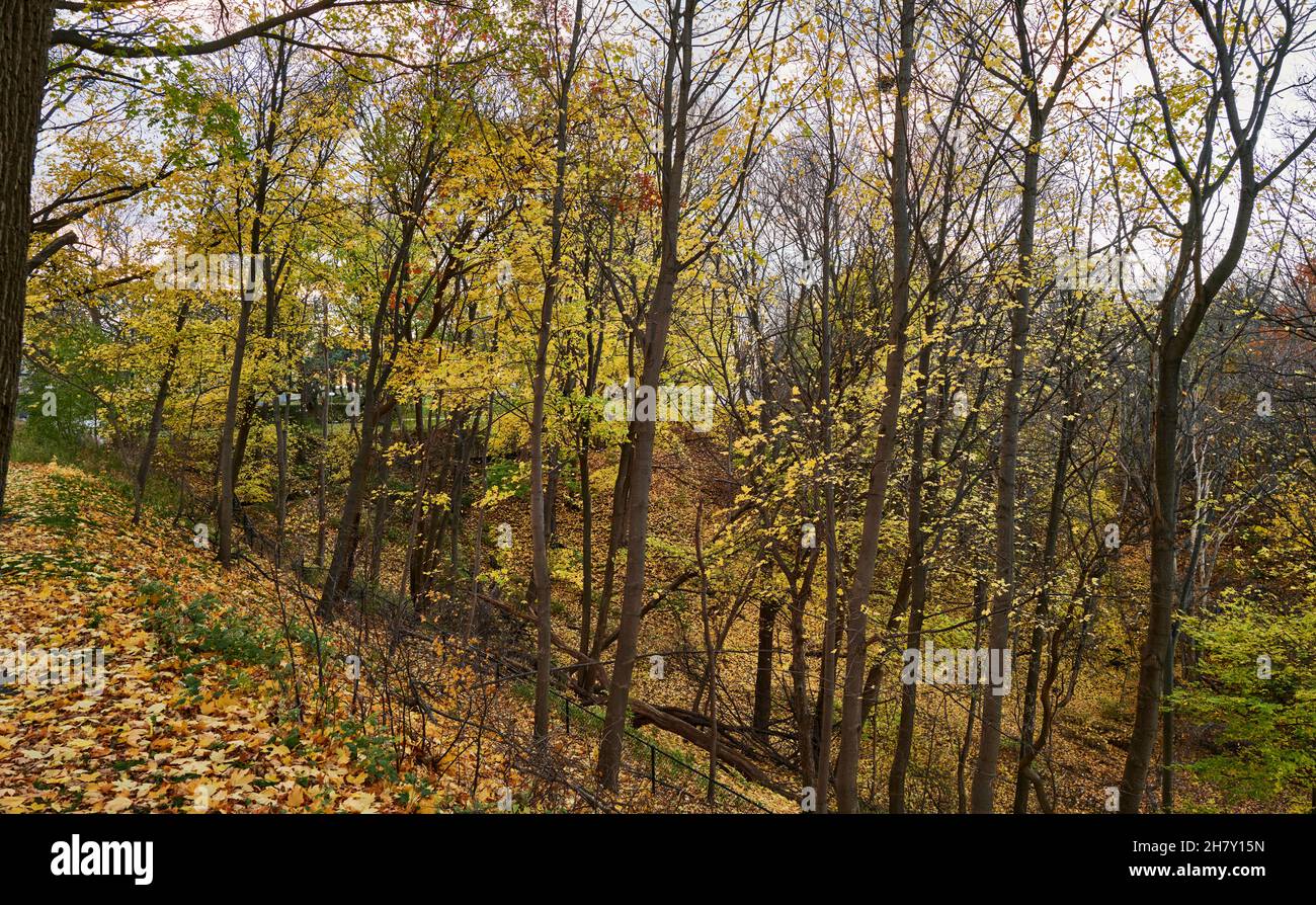 Dundurn Castle. Once home to Sir Allan Napier MacNab, railway magnate ...