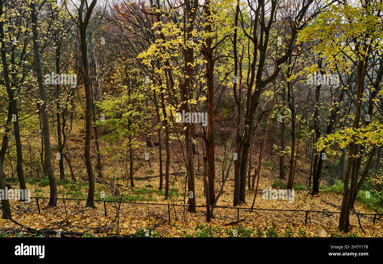 Dundurn Castle. Once home to Sir Allan Napier MacNab, railway magnate ...