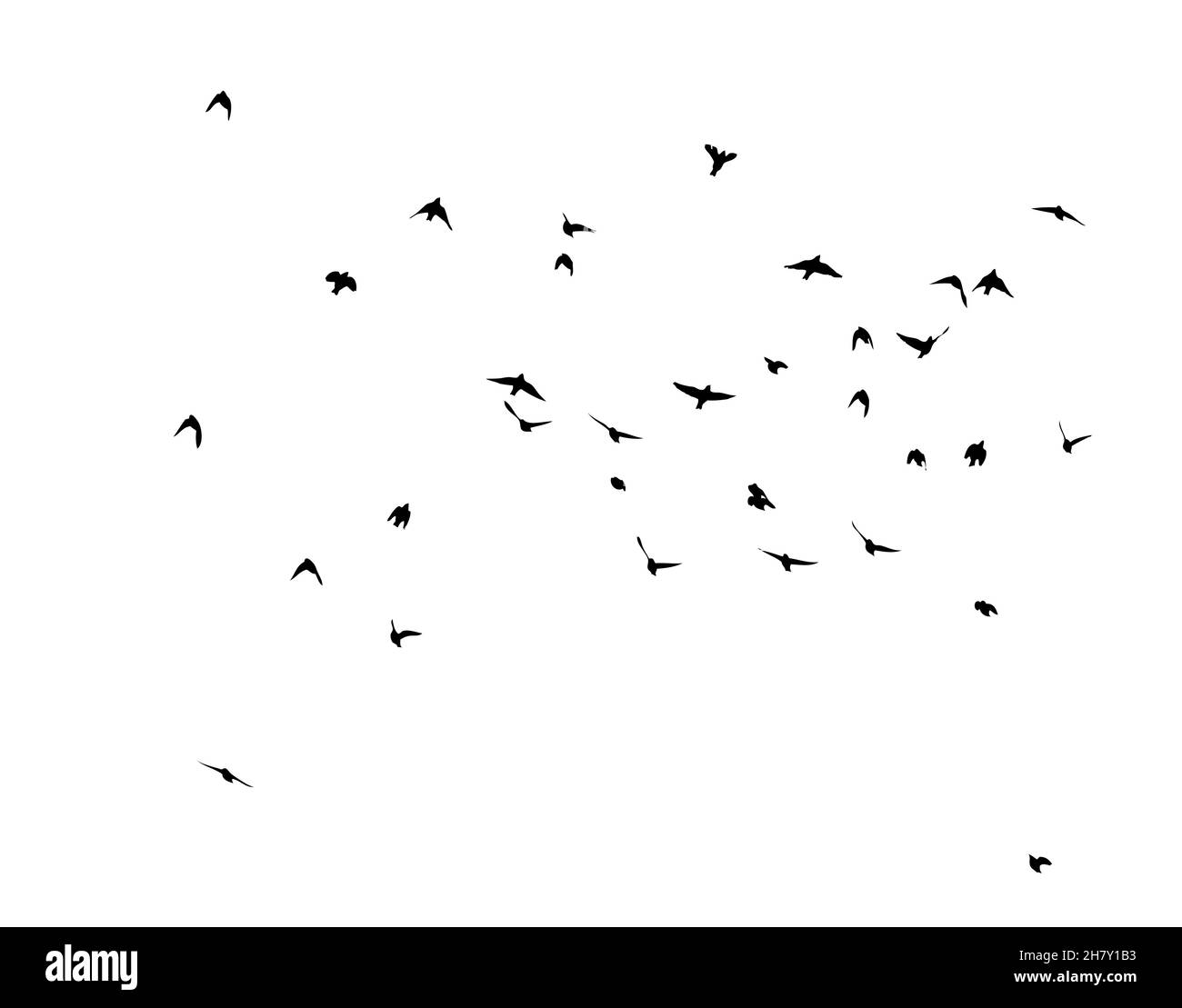 a flock of birds flying off. black and white vector illustration Stock ...