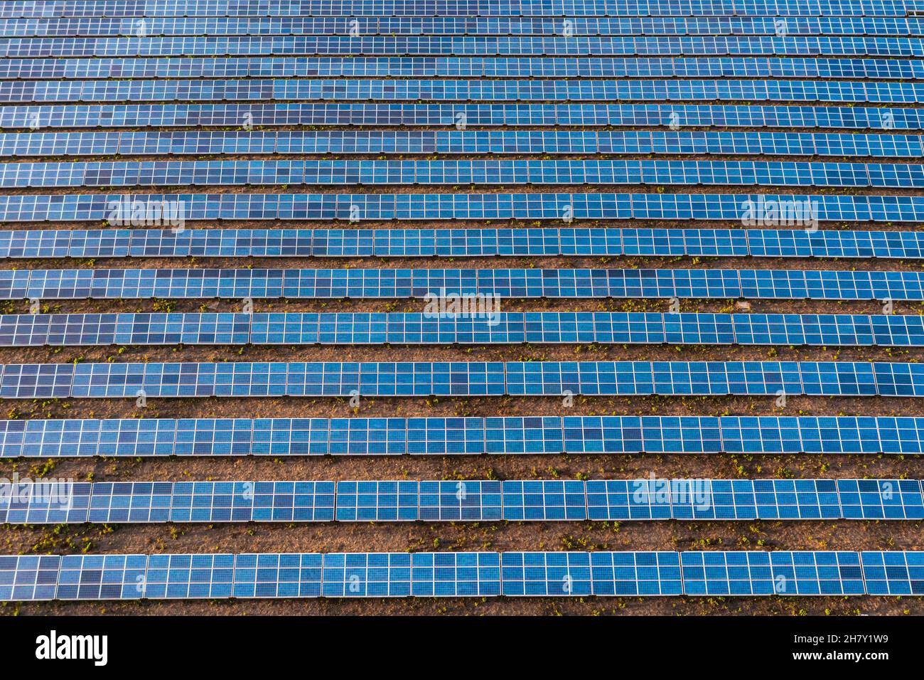 Aerial top down shot of a solar farm, a large collection of ground ...