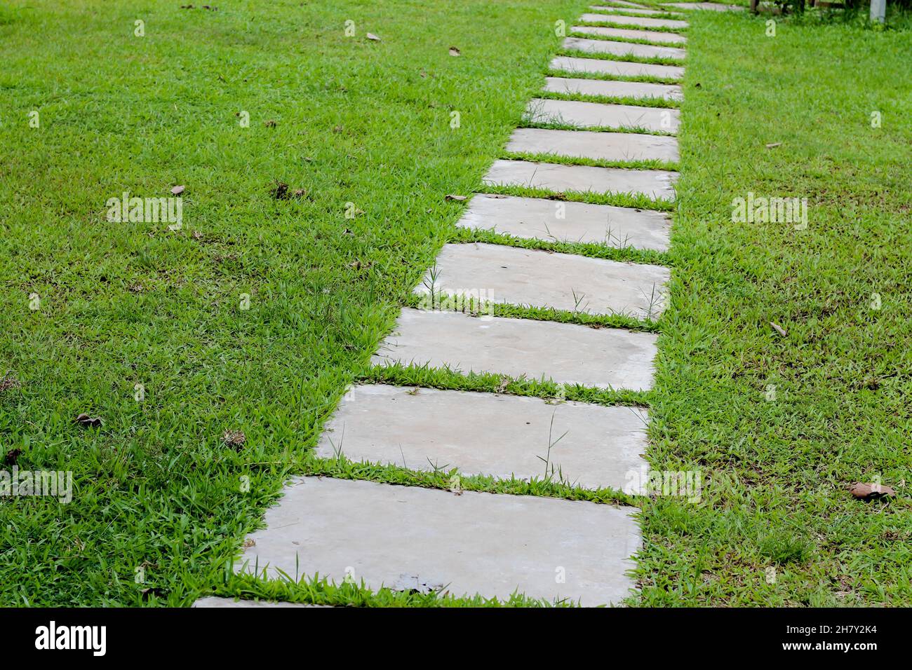 Square stone walkway on the outdoor lawn . Decorate your garden Stock ...
