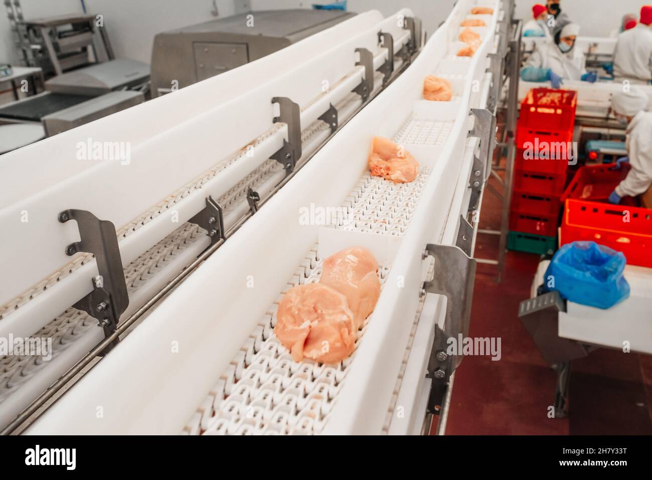 Chicken fillet production line . Factory for the production of food ...