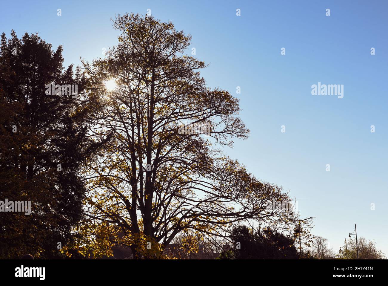 Fall moring hi-res stock photography and images - Alamy