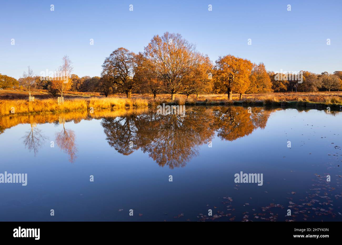 Leg of mutton nature reserve hi-res stock photography and images - Alamy