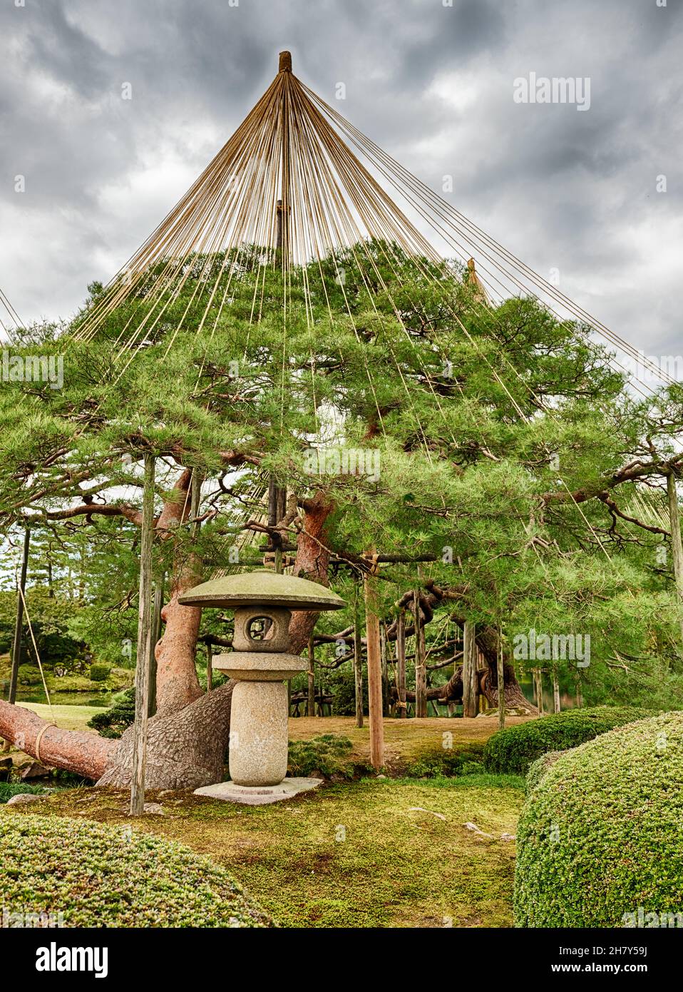 Rope tied to tree hi-res stock photography and images - Alamy