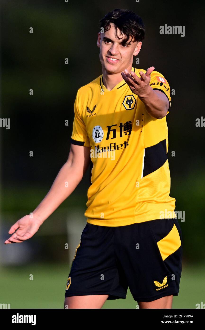 Wolverhampton wanderers training hi-res stock photography and images ...