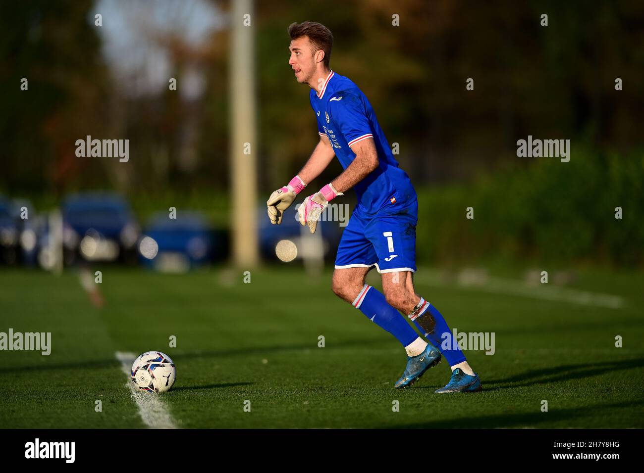 Jamie searle swansea hi-res stock photography and images - Alamy