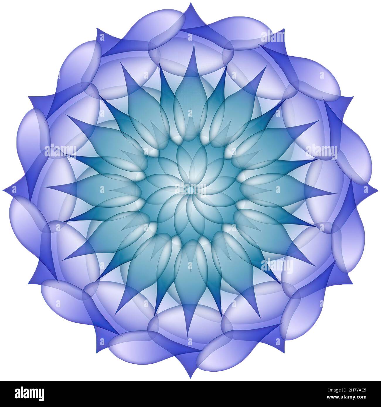 Multicolor mandala abstract illustration high resolution background ...