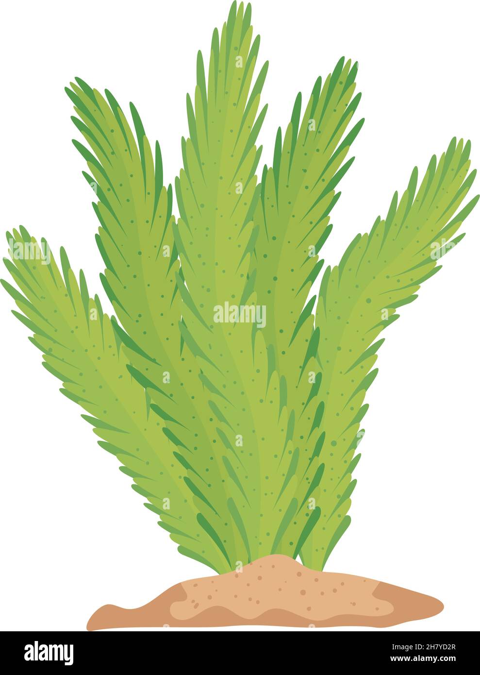 algae green plant Stock Vector Image & Art - Alamy