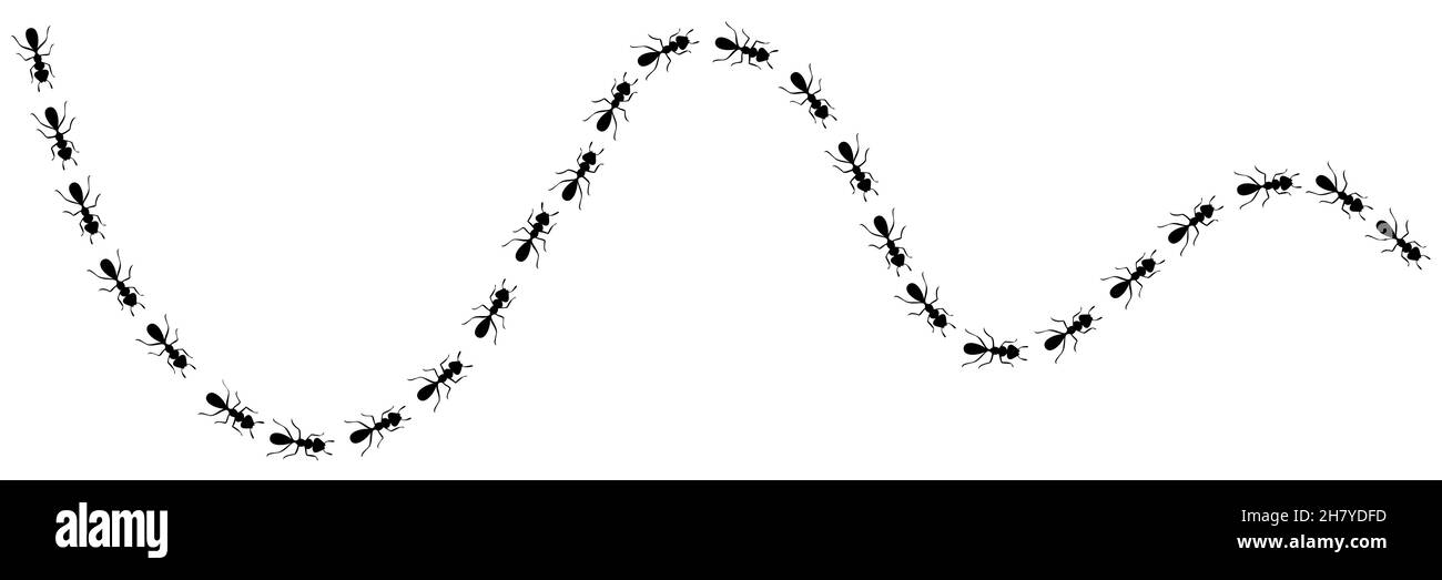 Ants trail with location icons. Route or path isolated in white background. Vector illustration ...