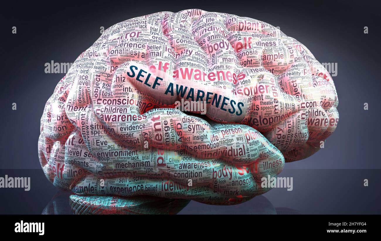 Self awareness in human brain, hundreds of crucial terms related to ...