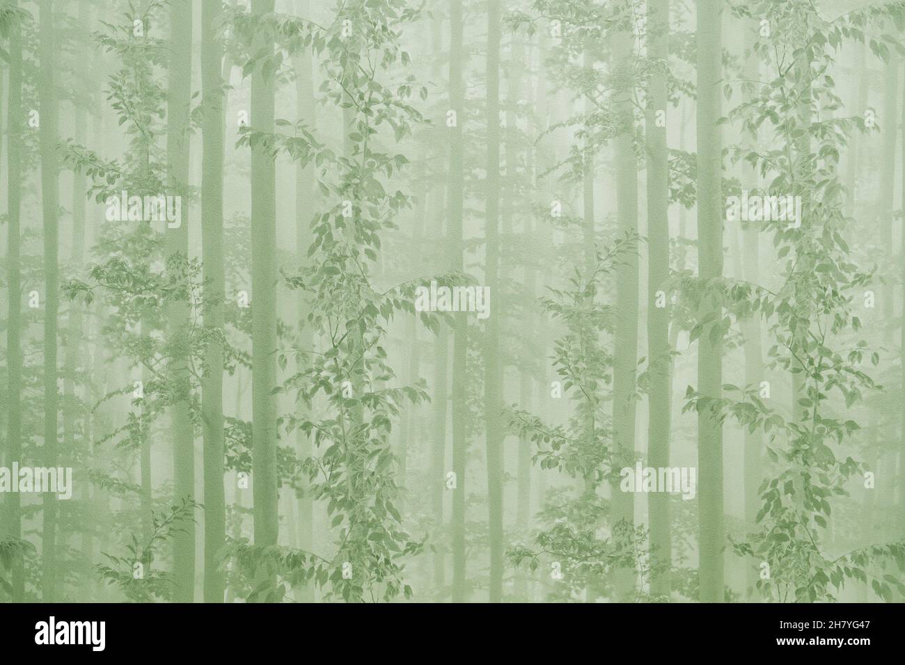 Misty green background hi-res stock photography and images - Alamy