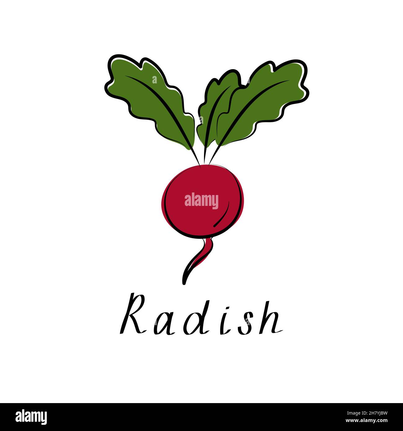 Single radish Stock Vector Images - Alamy