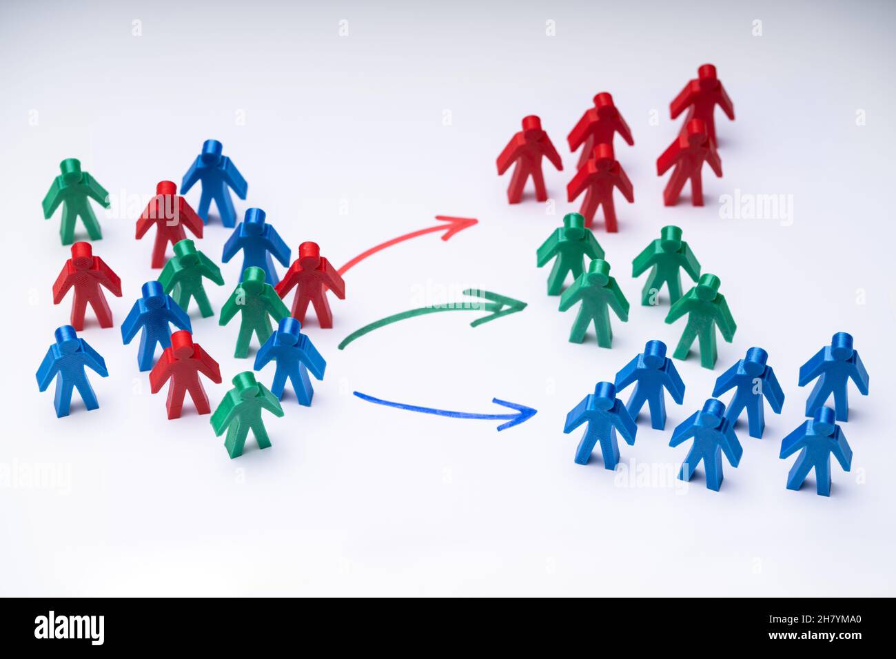 Segmentation hi-res stock photography and images - Alamy