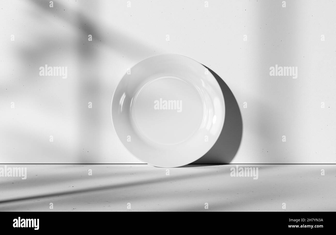White plate template, front, dish 3D rendering with realistic shadows ...
