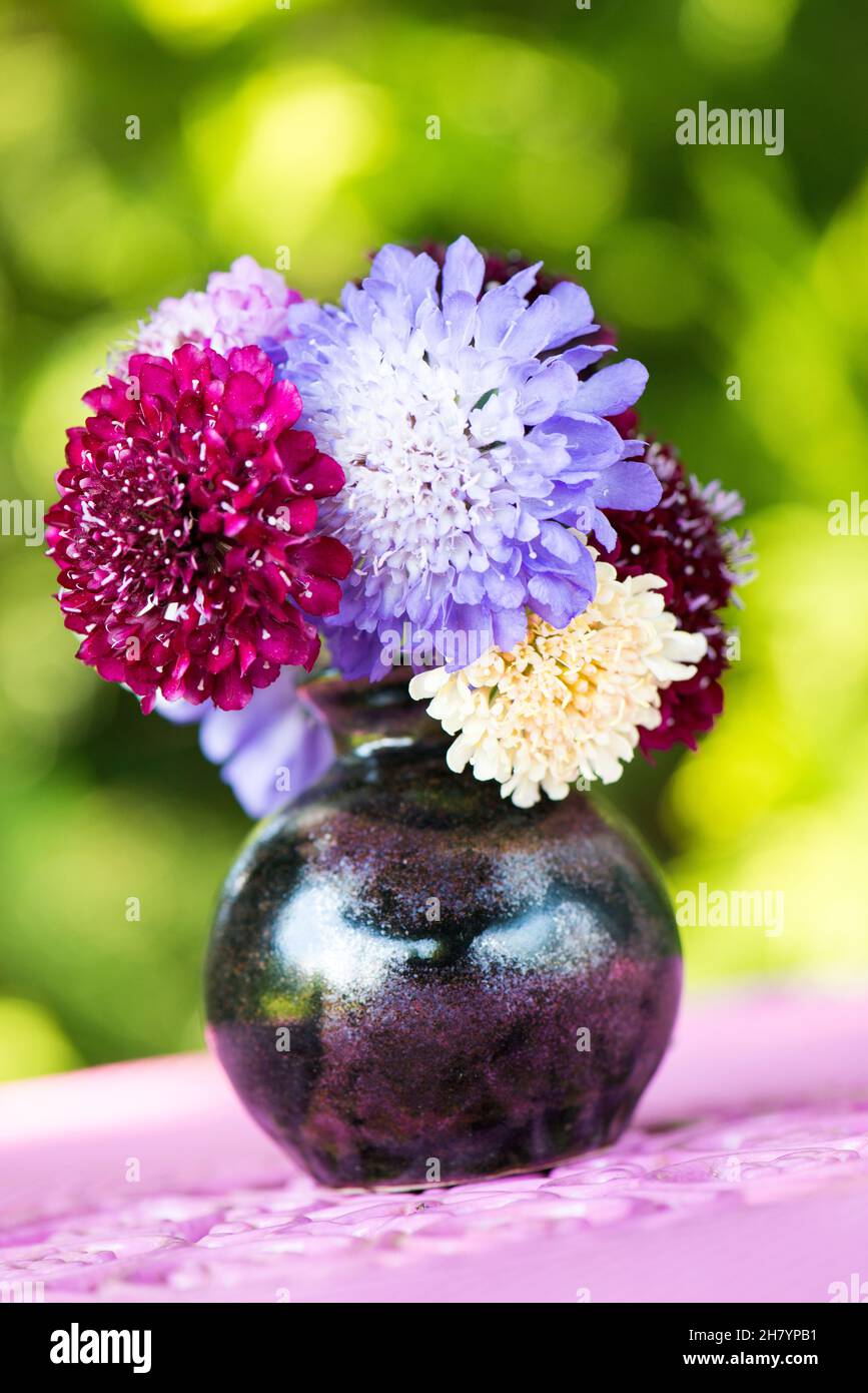Wild flowers in a little pot Stock Photo - Alamy
