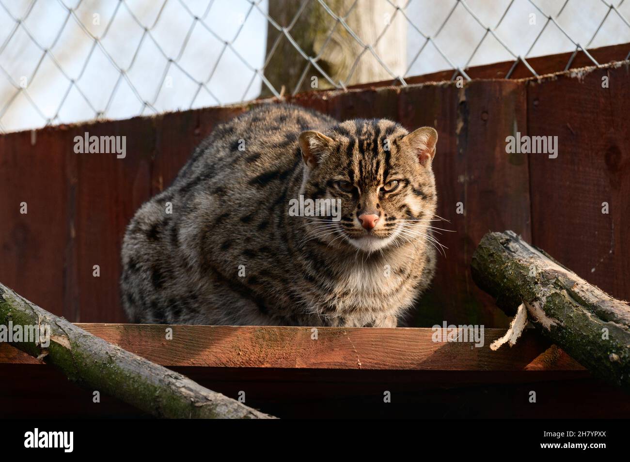 This is your life big red book hi-res stock photography and images - Alamy