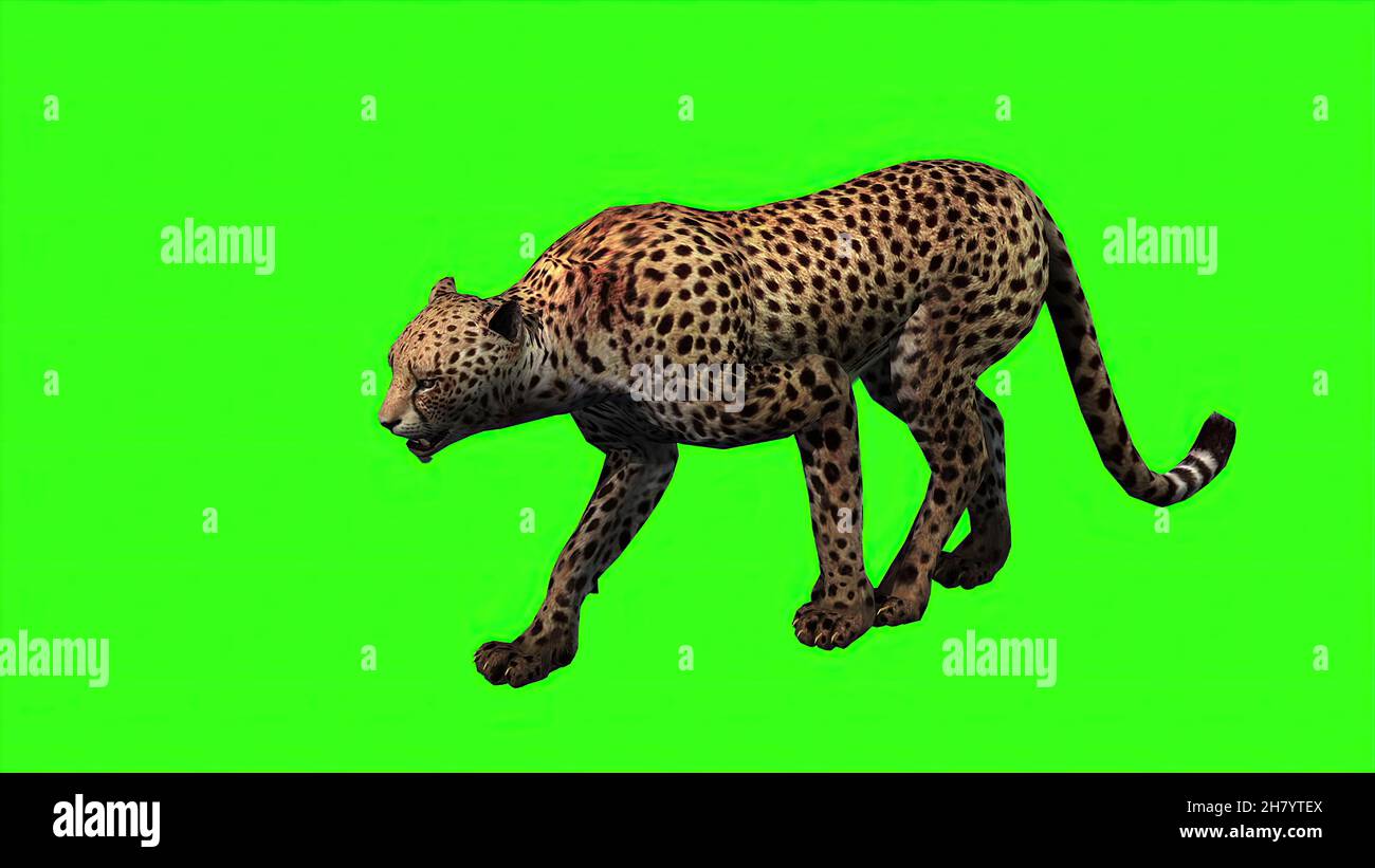 Speed effect on green screen hi-res stock photography and images - Alamy