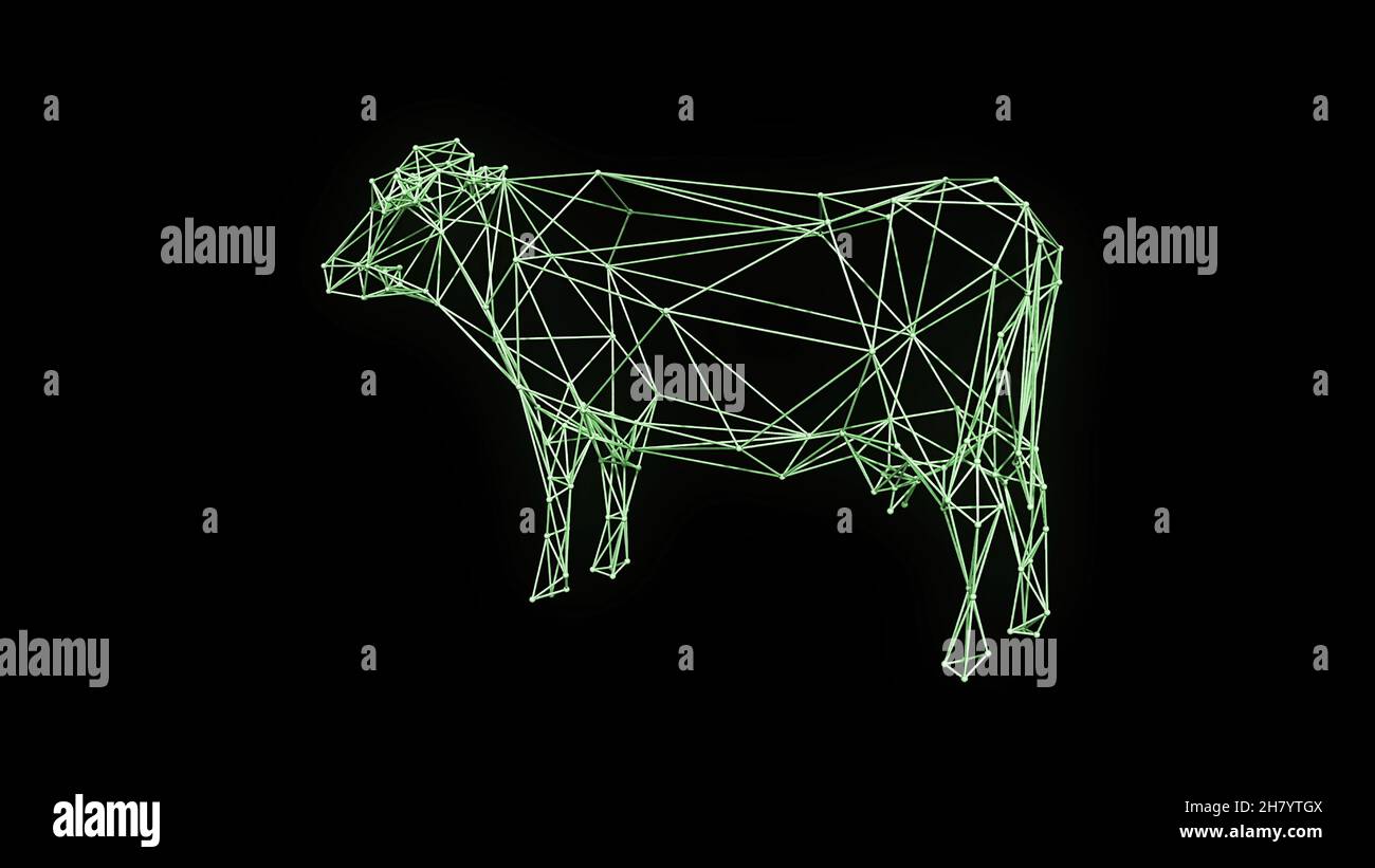 3d illustration - wire frame model of Isolated classic milk cow rotate ...