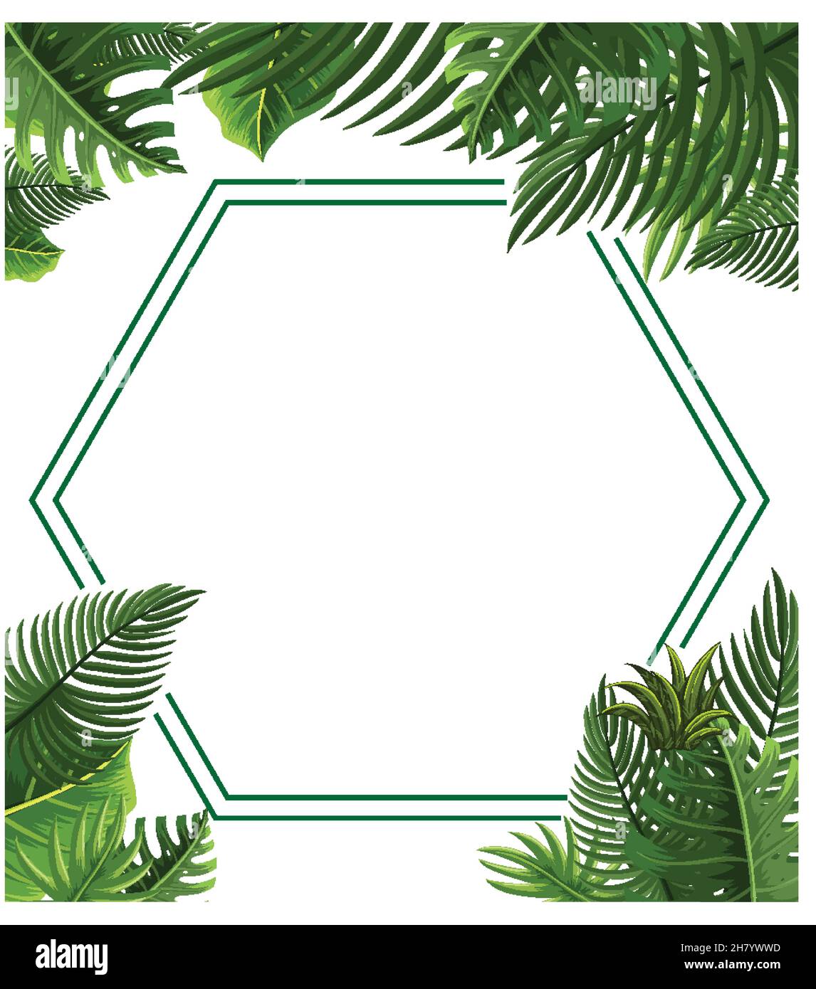 Hexagon frame with tropical green leaves illustration Stock Vector ...
