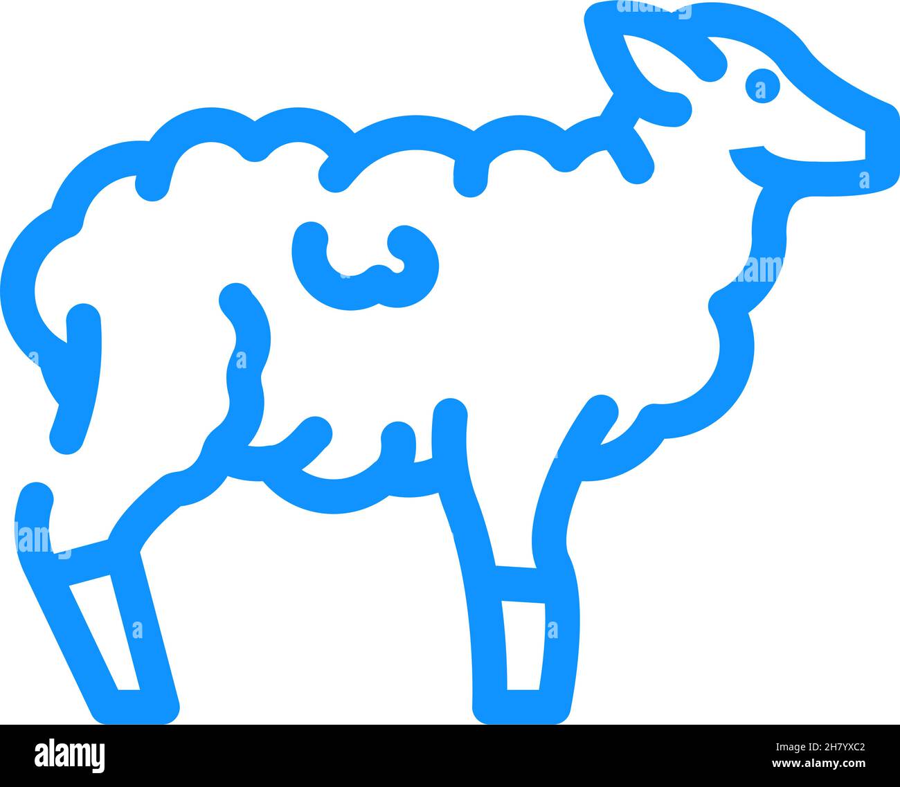 Guinea sheep hi-res stock photography and images - Alamy