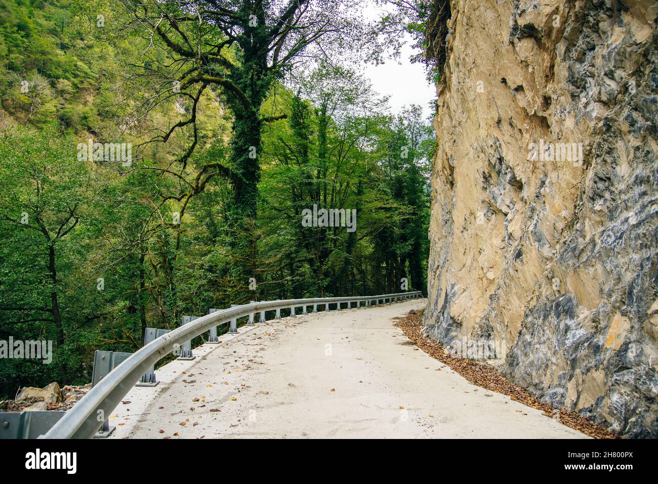 road along the cliff near forest Stock Photo - Alamy