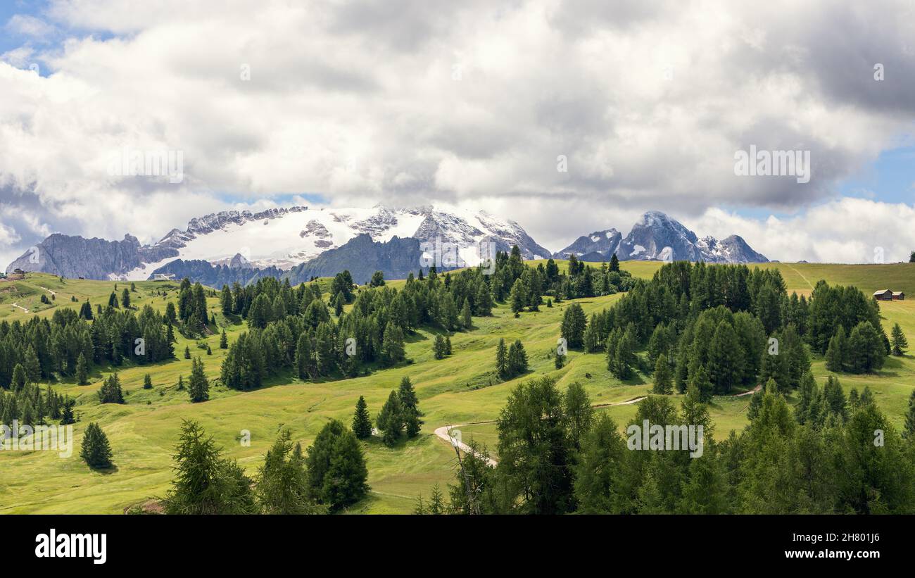 Alpine plateau with pine forests in the rays of the sun and the ...