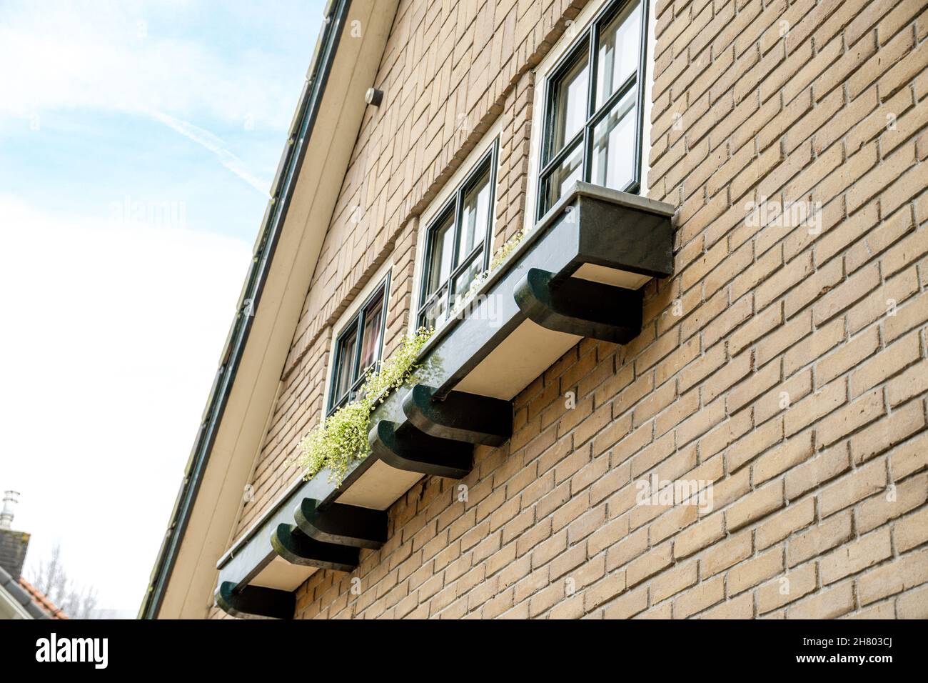 From below of roof of brick building with windows above plants placed ...