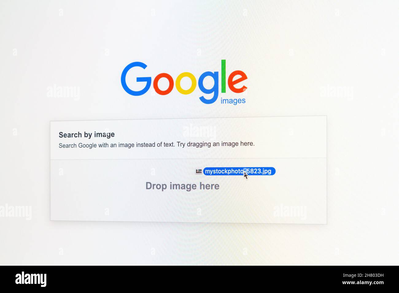 Dropping image onto Google Image Search bar on computer screen in ...
