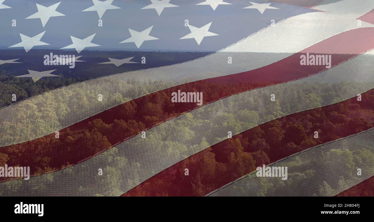 Illustration american forest hi-res stock photography and images - Alamy