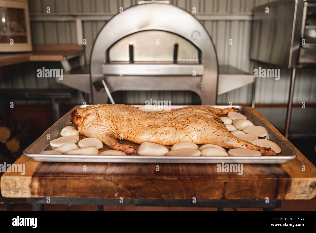 Tepezcuintle hi-res stock photography and images - Alamy