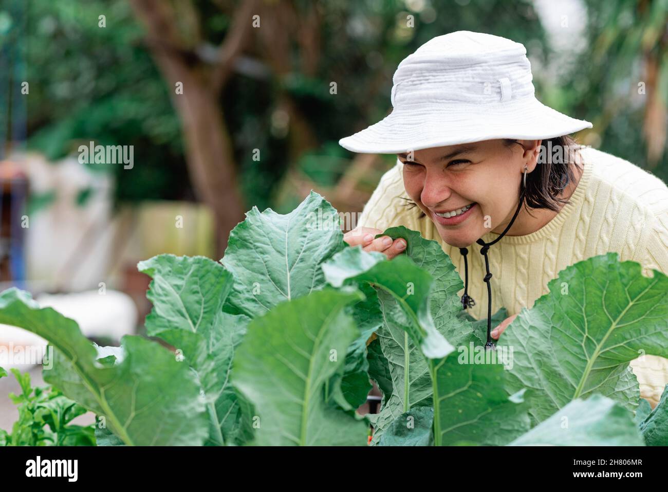 Delighted female gardener in hat smelling leaves of green cabbage ...