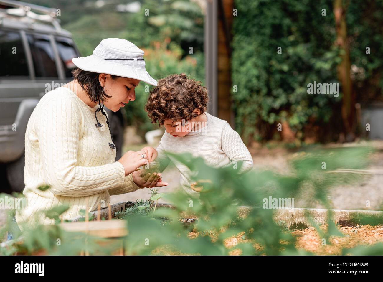 Mother planting seed in plastic seedling tray on garden bed in farm ...