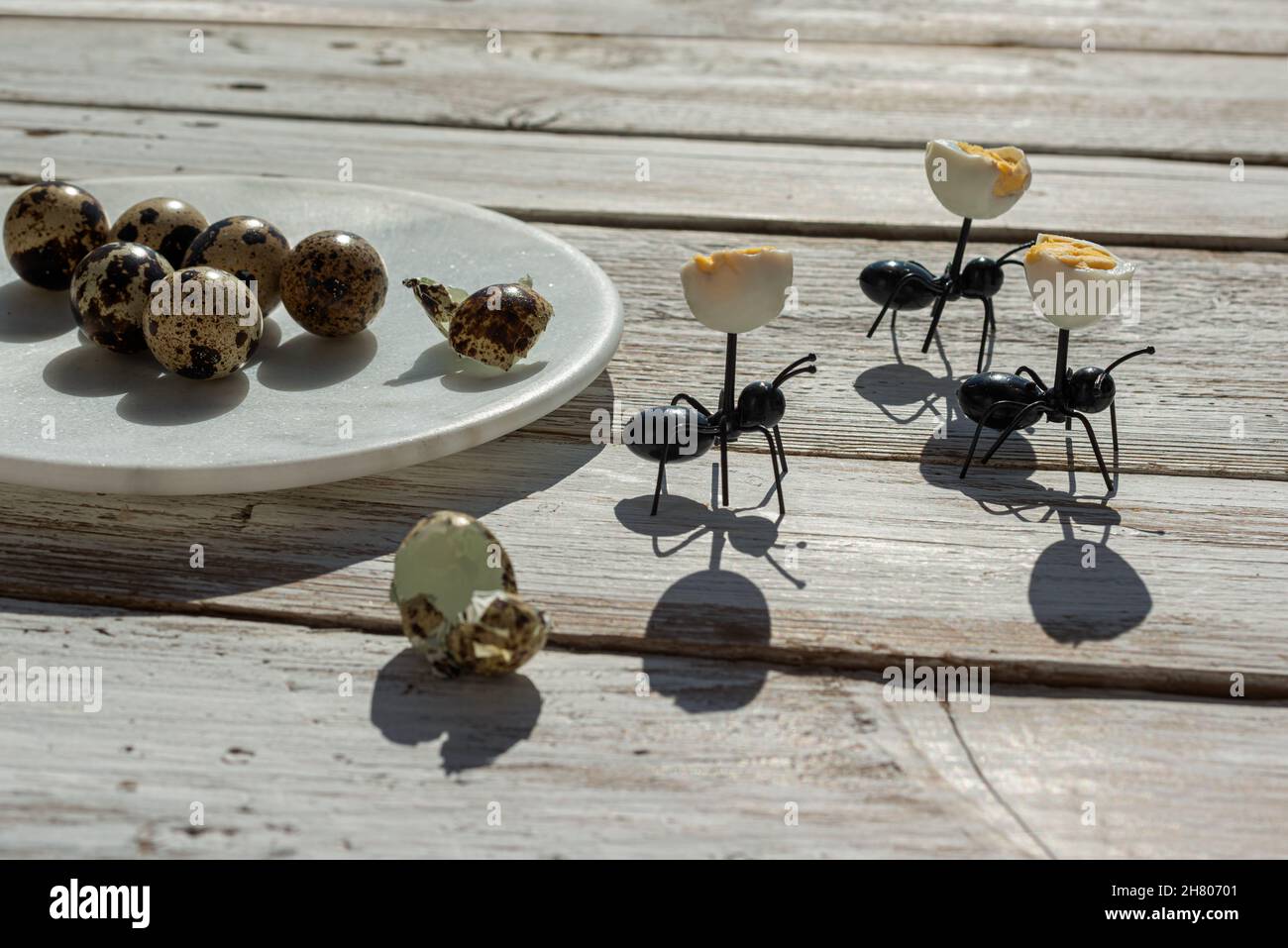 Push of pike hi-res stock photography and images - Alamy