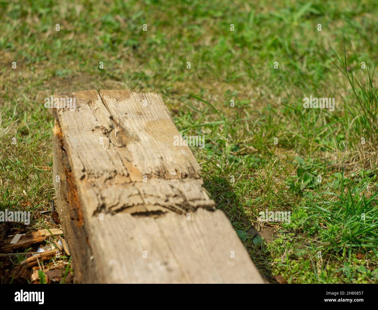 half-rotted wooden beam in the village, in summer Stock Photo - Alamy