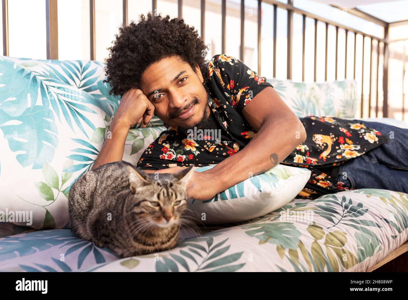 Cat terrace hi-res stock photography and images - Alamy