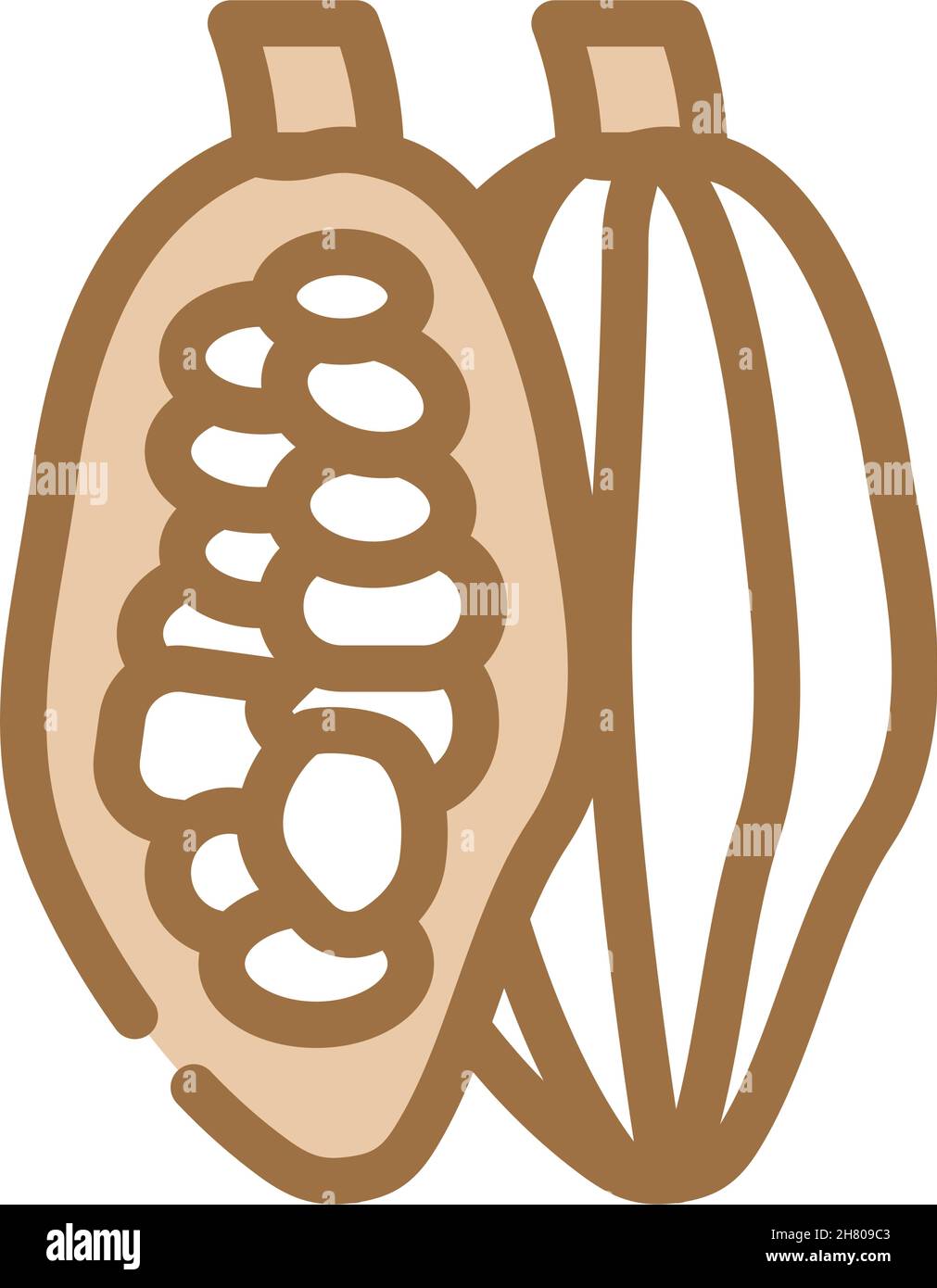 cocoa beans color icon vector illustration Stock Vector Image & Art - Alamy