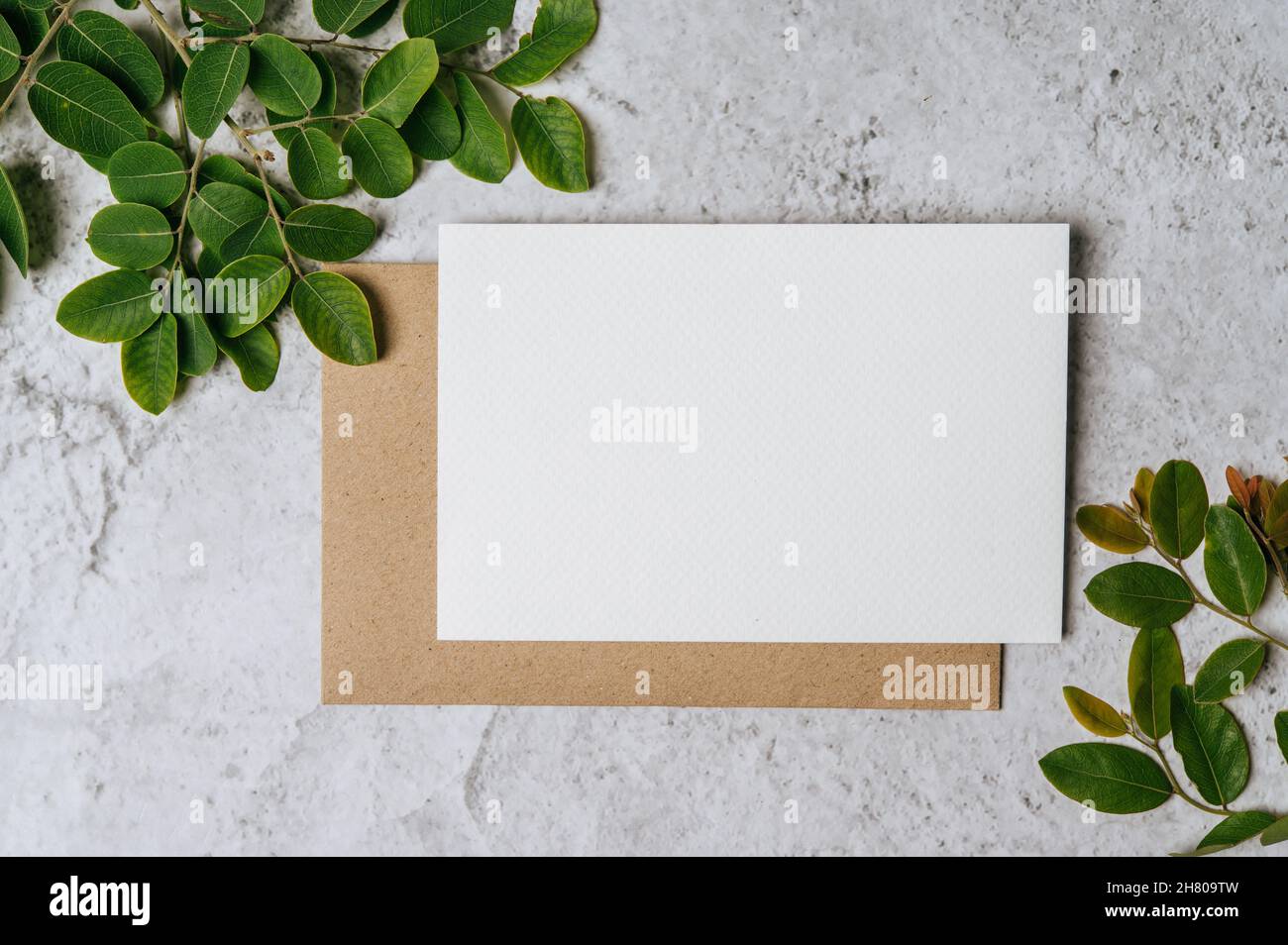 A blank card with envelope and leaf is placed on white background Stock ...