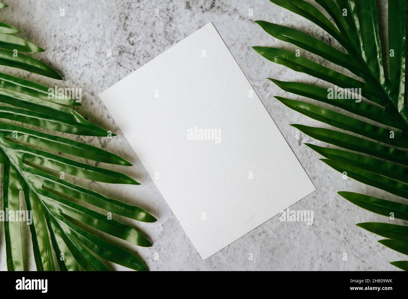 A blank card with envelope and leaf is placed on white background Stock ...