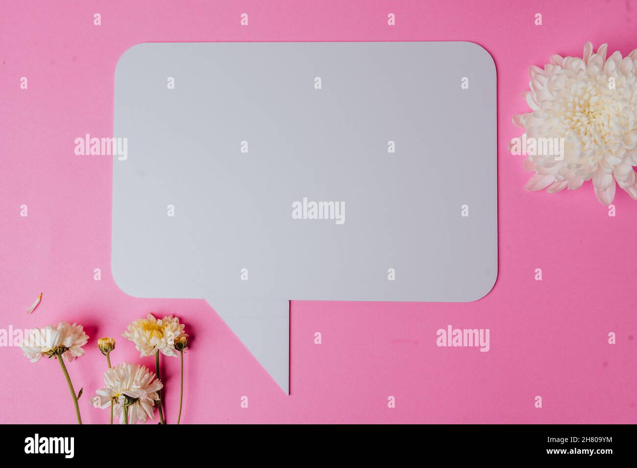 Abstract rounded rectangle background hi-res stock photography and ...