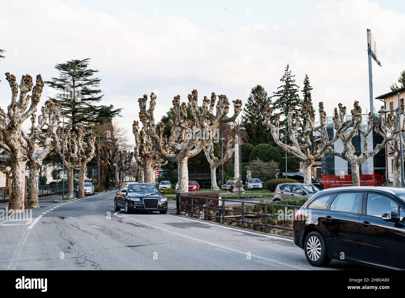 Plane tree alley in Menaggio. Como, Italy Stock Photo - Alamy