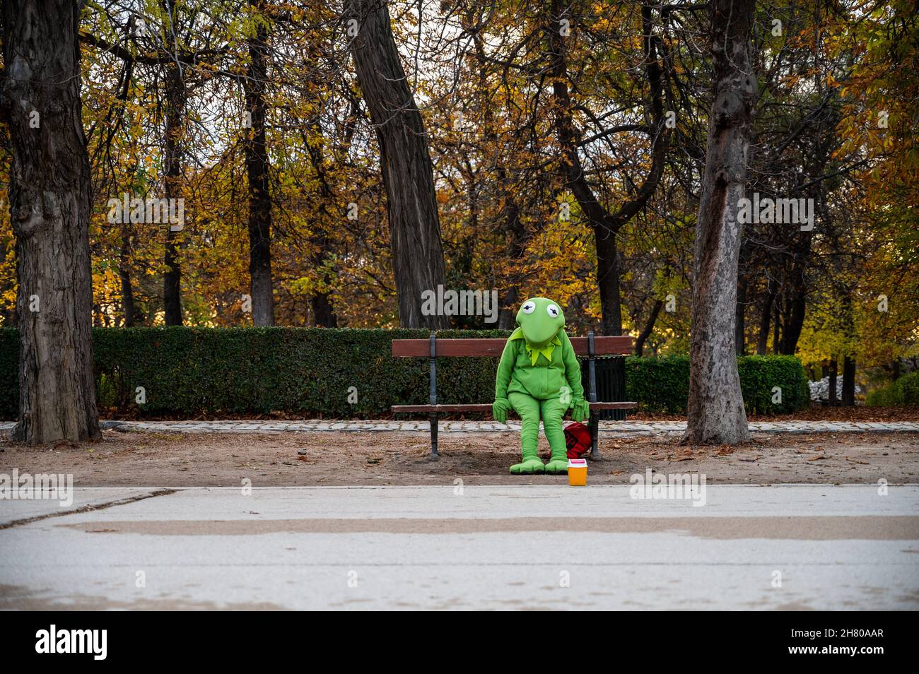 Madrid, Spain. 25th Nov, 2021. A man dressed as Kermit the Frog sits ...