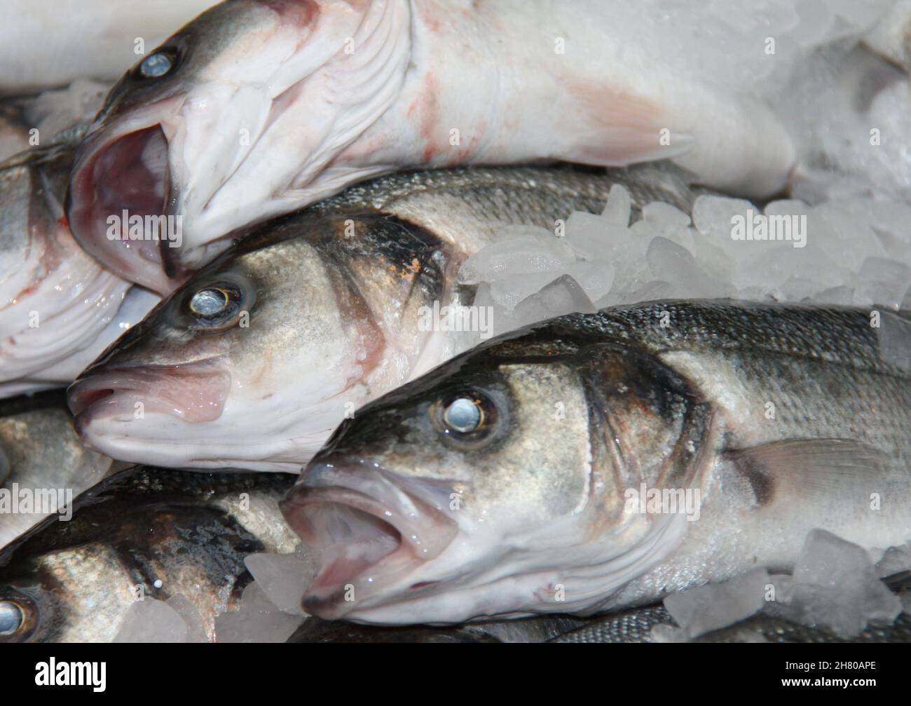 Ice slab hi-res stock photography and images - Alamy